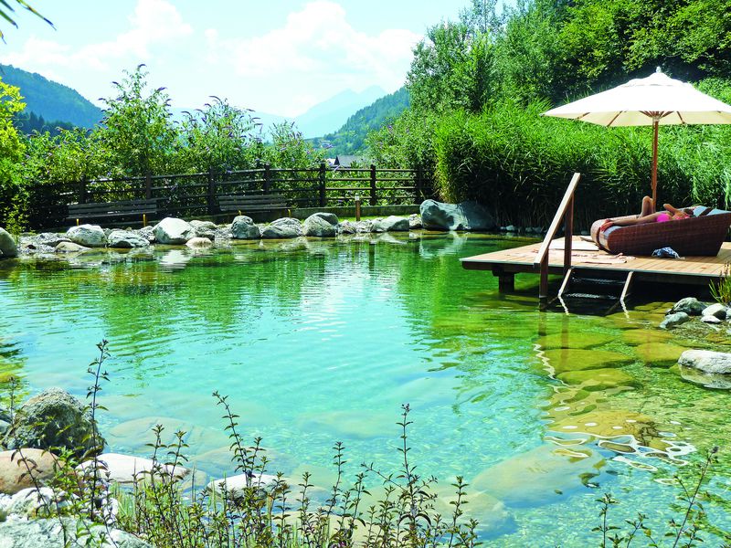 Background - Fishkeeper Plus